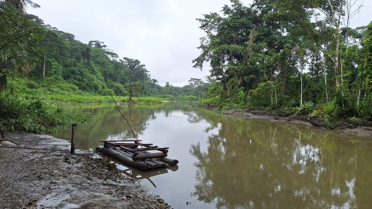 Exploring Manu: Ideal Seasons for Your Park Adventure - Peru Amazon ...
